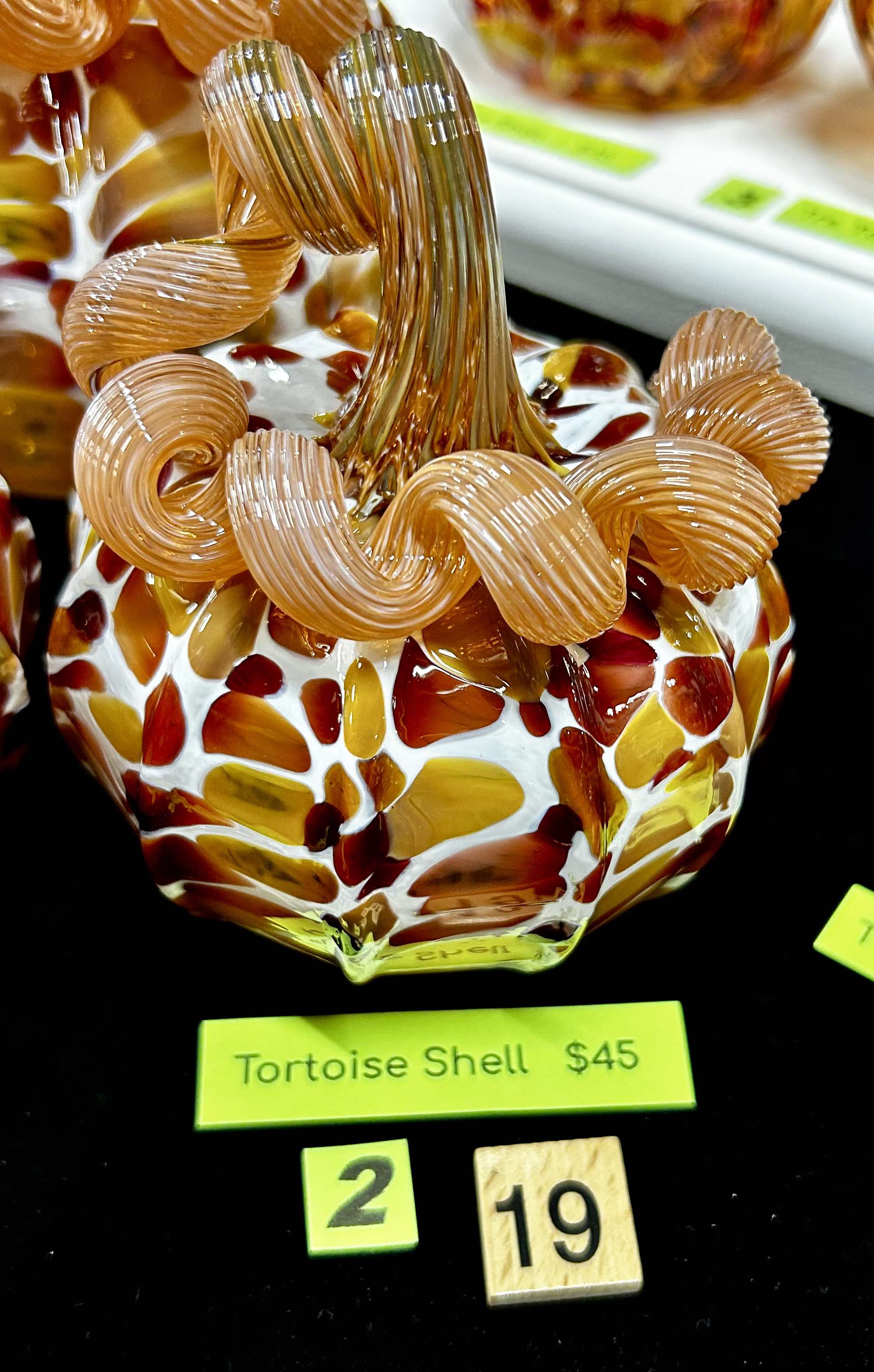 #19 Tortoise Shell- 2/5/2025 – Keith Cerone Glass